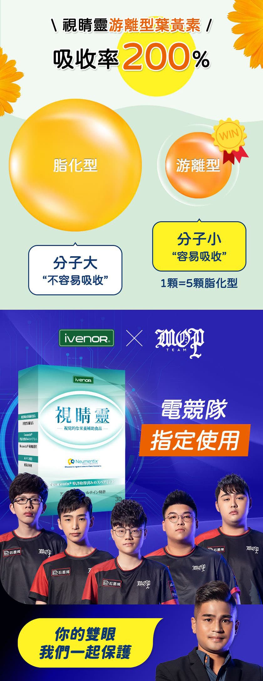 iVenor I-Vision - PP Persephone - The No.1 brand in Graphene Industry